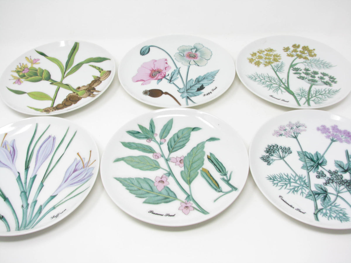 Vintage Shafford Botanical Herb Seed Salad Plates - 6 Pieces ...