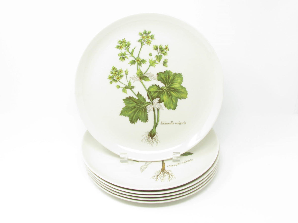 Vintage Rare Pickard China Botanical Dinnerware Set - 54 Pieces ...