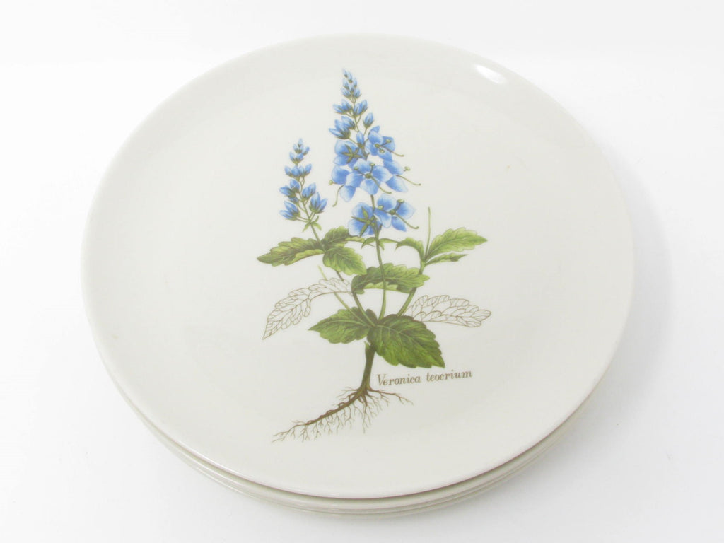 Vintage Rare Pickard China Botanical Dinnerware Set - 54 Pieces ...